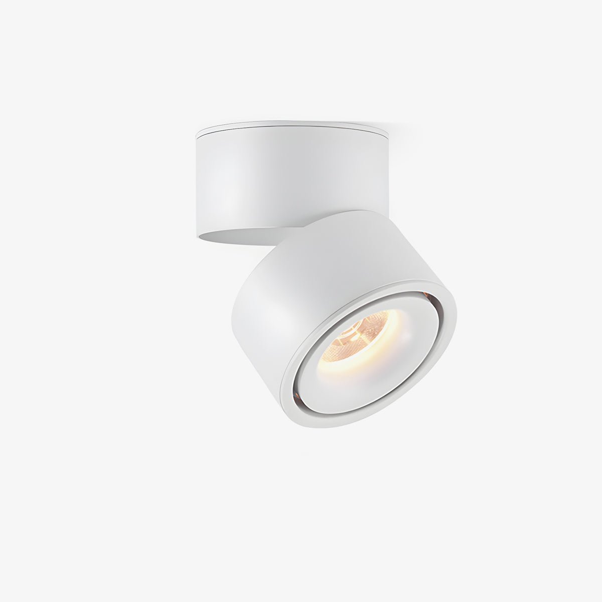 Rotatable Spotlight Ceiling Light – CEENLI